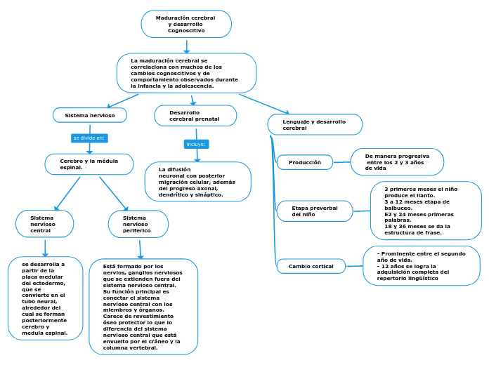 Maduración Cerebral Y Desarrollo Cognosci Mind Map